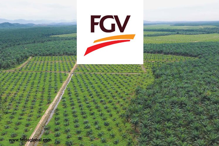 证实洽售MSM股权 刺激FGV涨3.6%